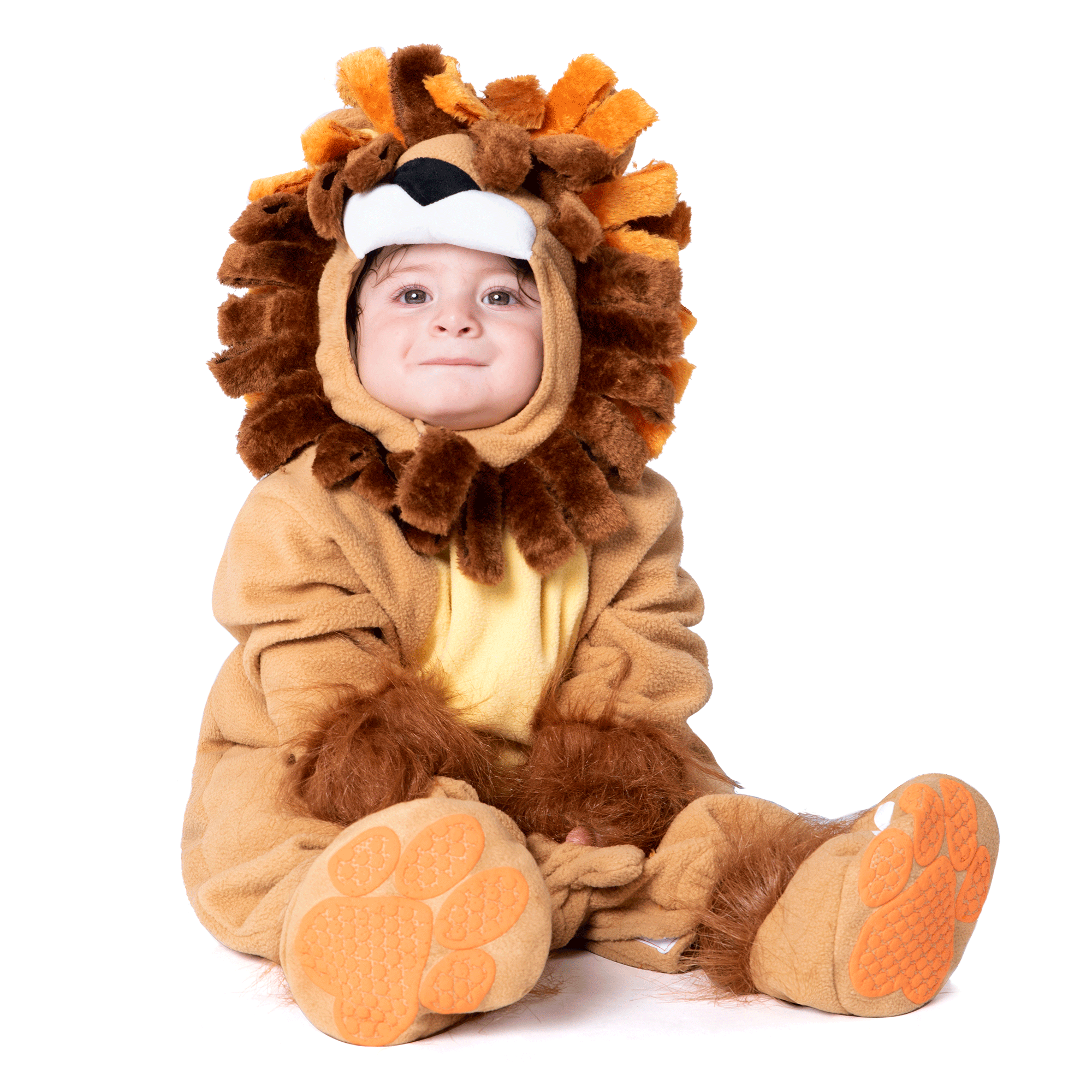 Fluffy Lion