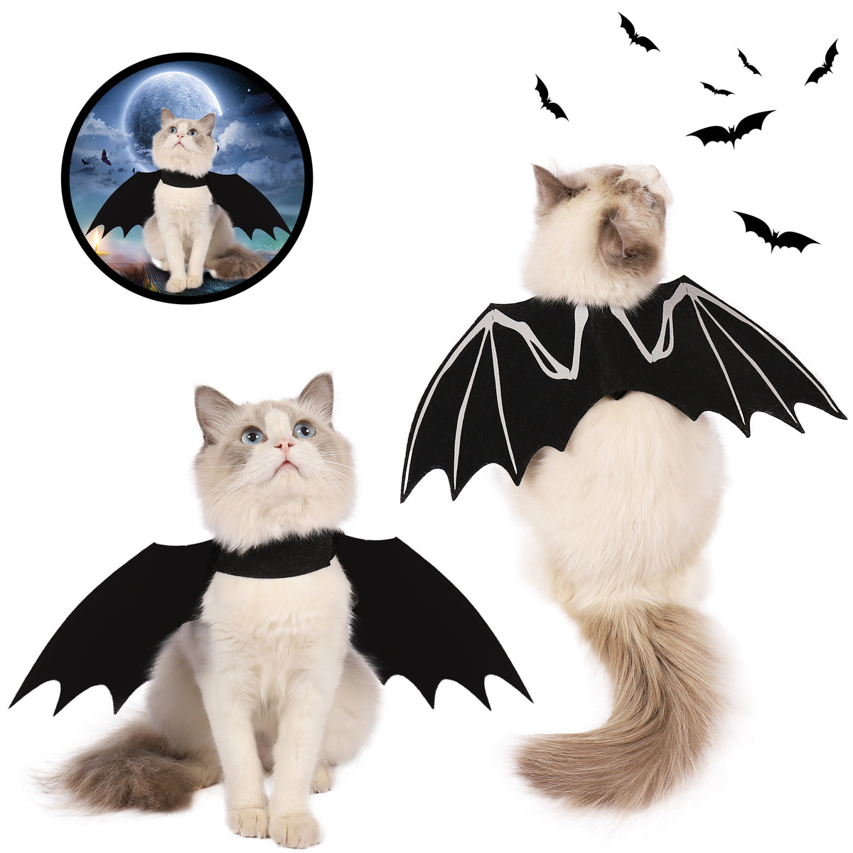Bat Wings Cat Costume | Spooktacular Creations