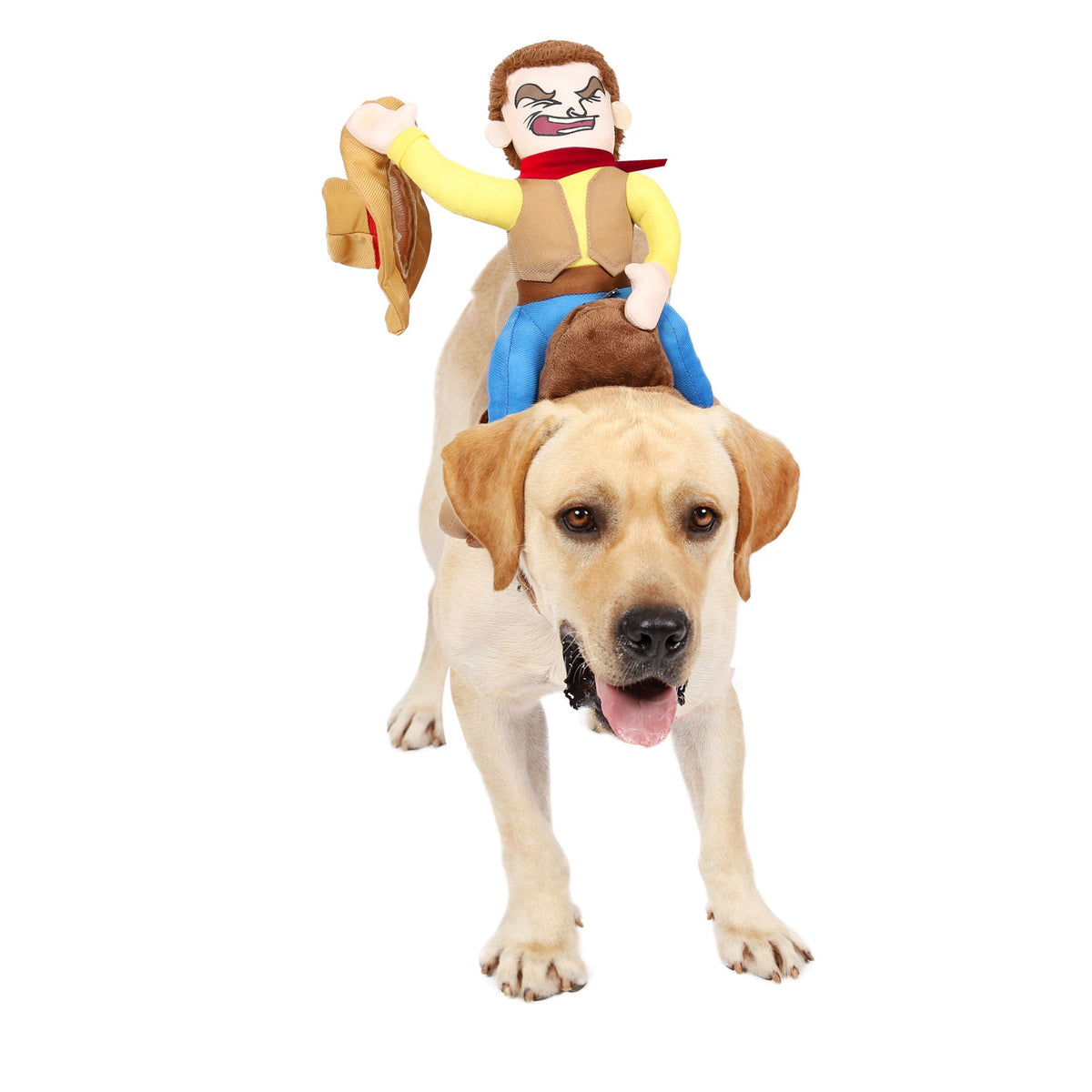 Cowboy Rider Dog Costume | Spooktacular Creations