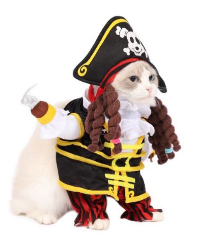 Pirates Cat Funny Costume | Spooktacular Creations