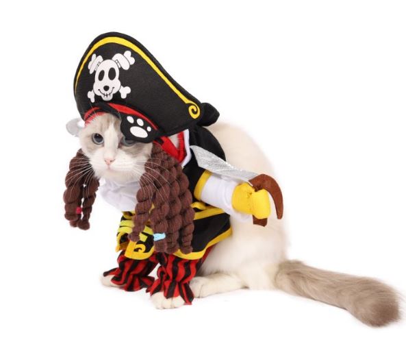 Pirates Cat Funny Costume | Spooktacular Creations