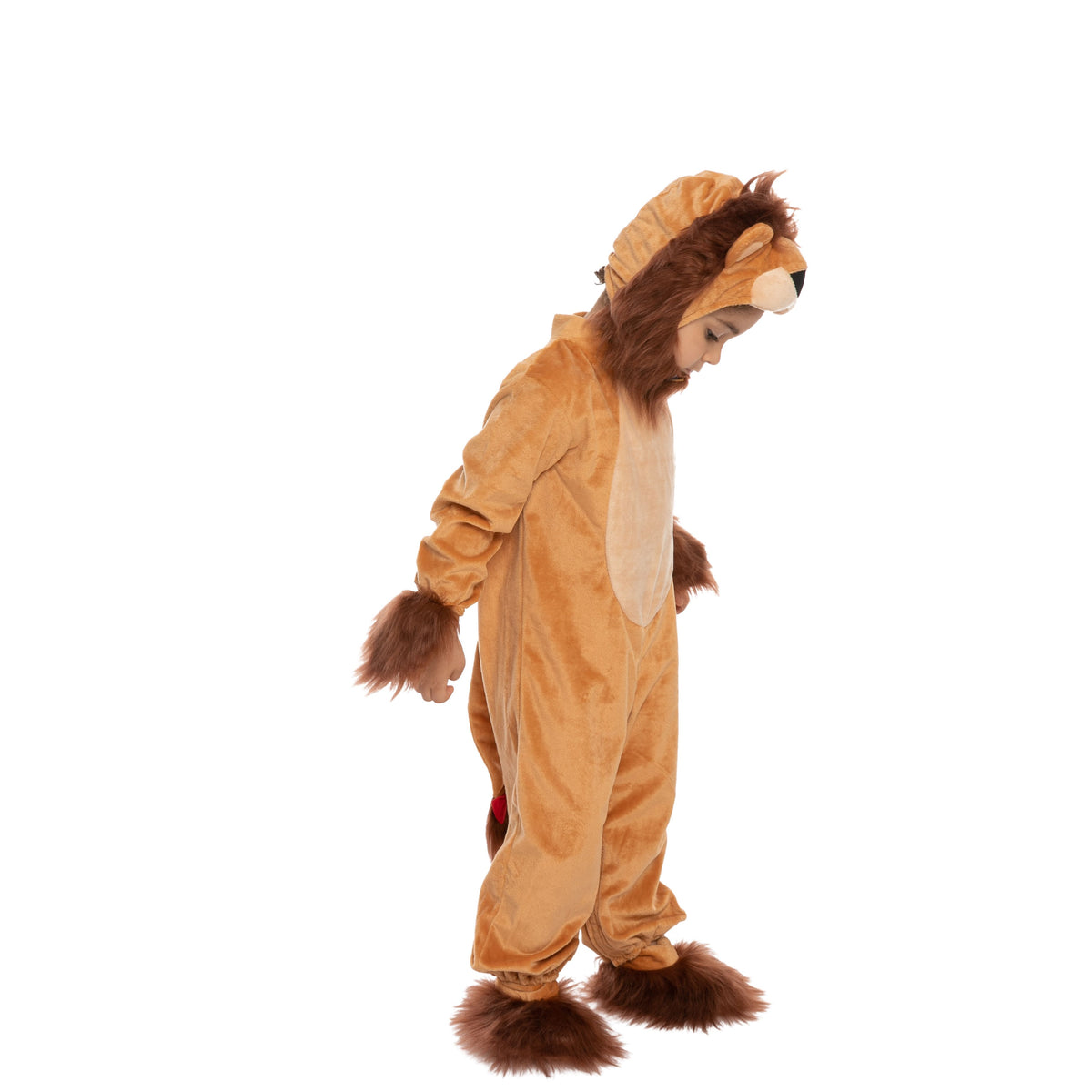Adult Lion Costume
